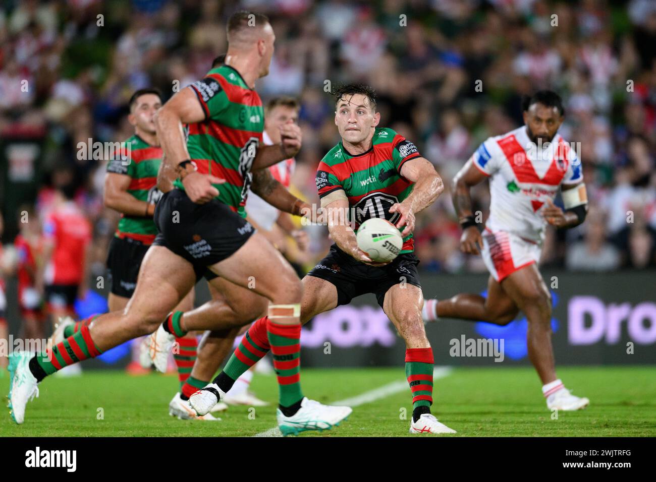 Sydney, Australia. 17th Feb, 2024. Cameron Murray of the South Sydney ...