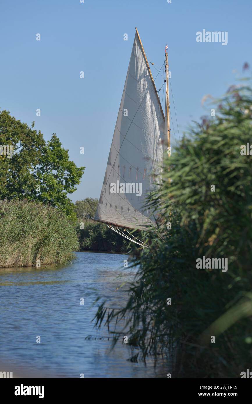 traditional sail boat navigates narrow stretch of river on norfolk ...