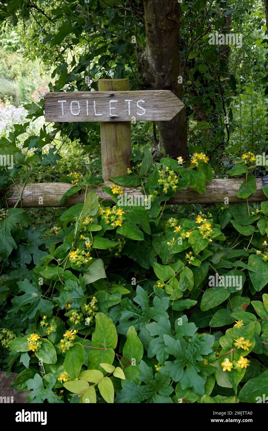 wooden rustic artisan toilet sign bounded by wild flowers norfolk ...