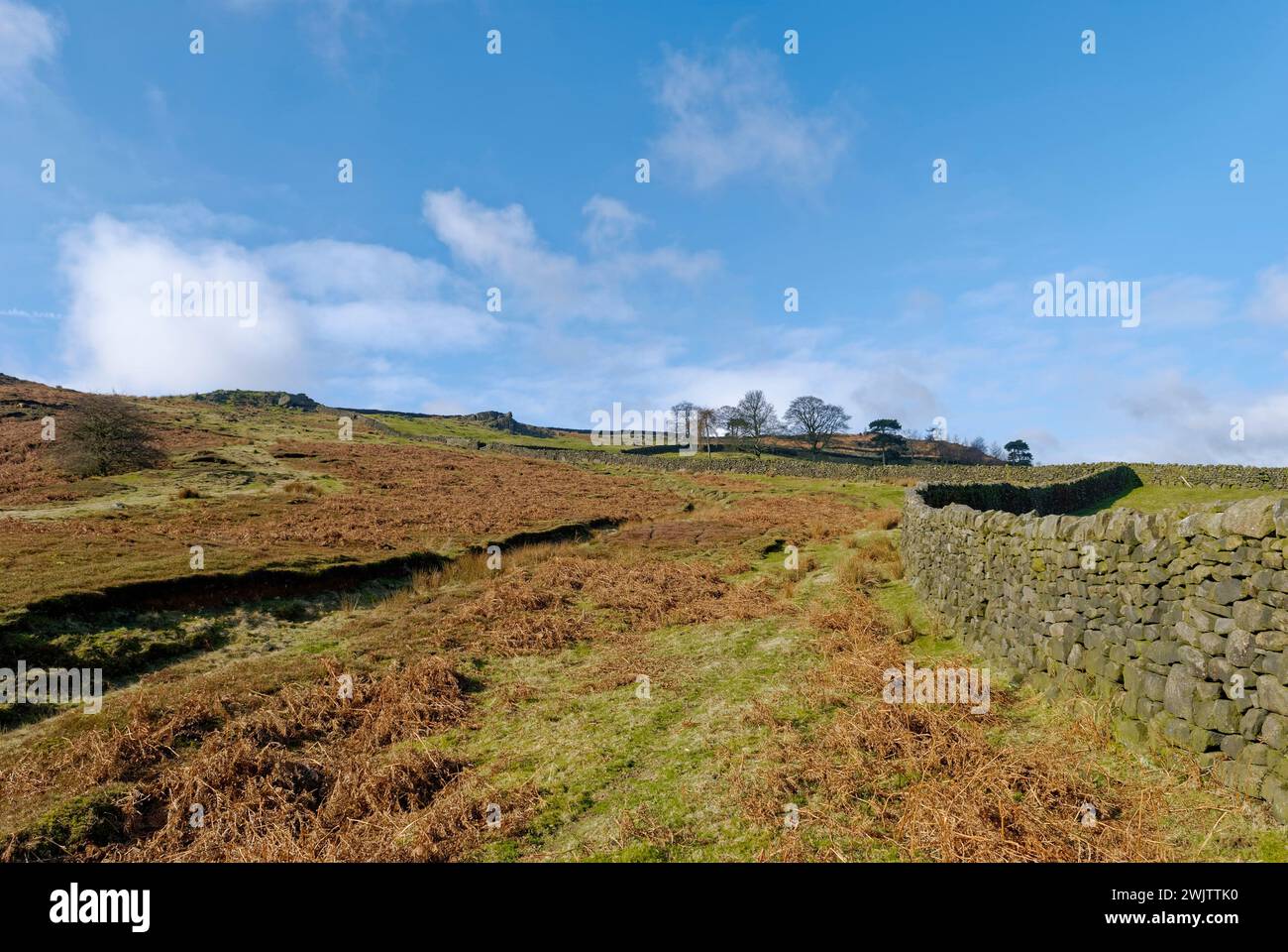 Drystone Walls beside the Footpath up Coldstone Beck, separating Burley ...
