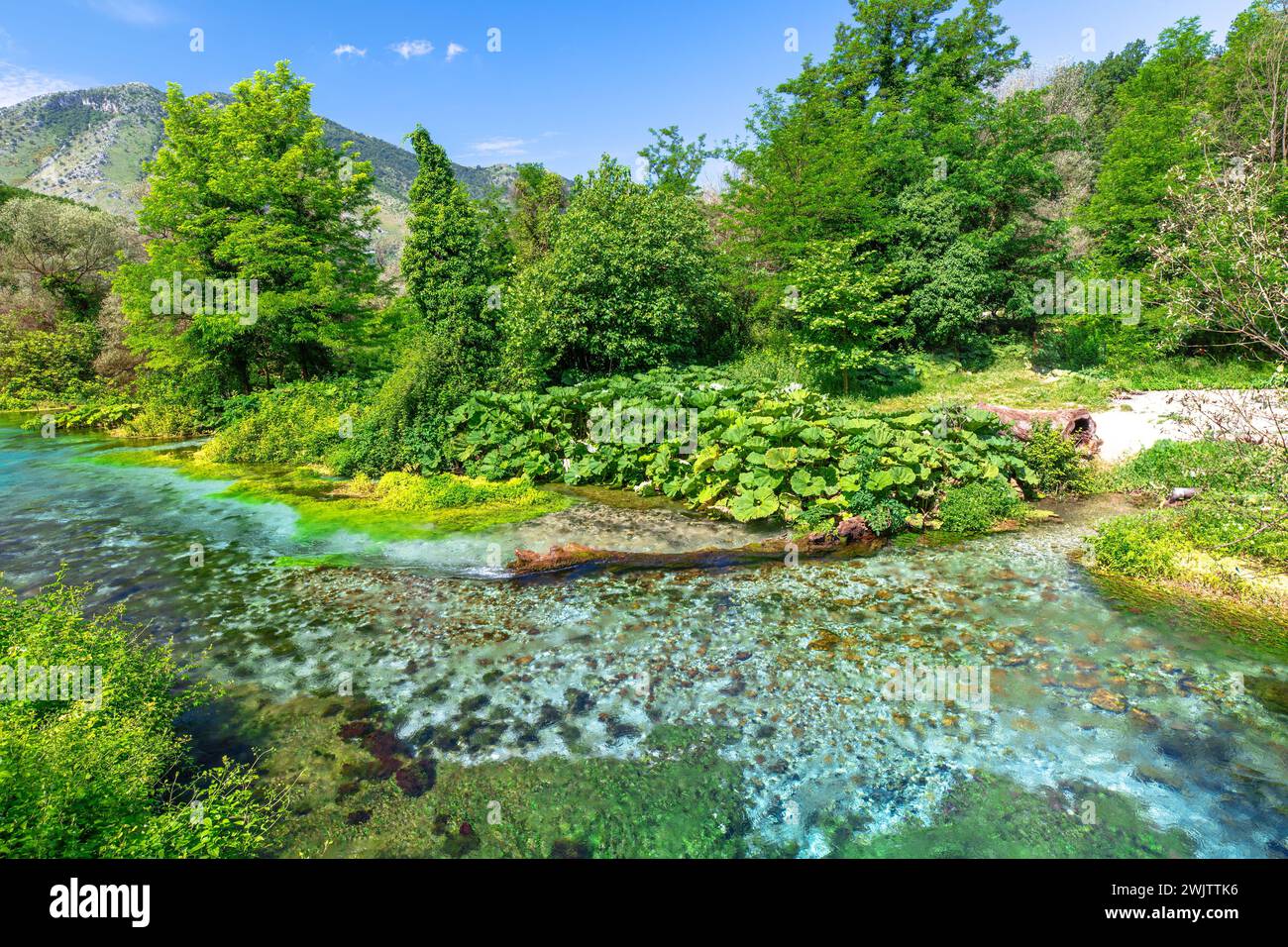 Blue Eye water spring is a natural phenomenon situated in the southern ...