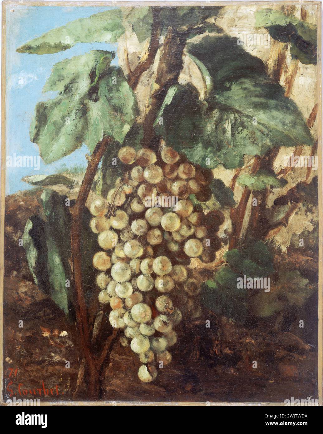 Gustave Courbet (1819-1877). "Bunch of grapes". Oil on canvas, 1871 ...
