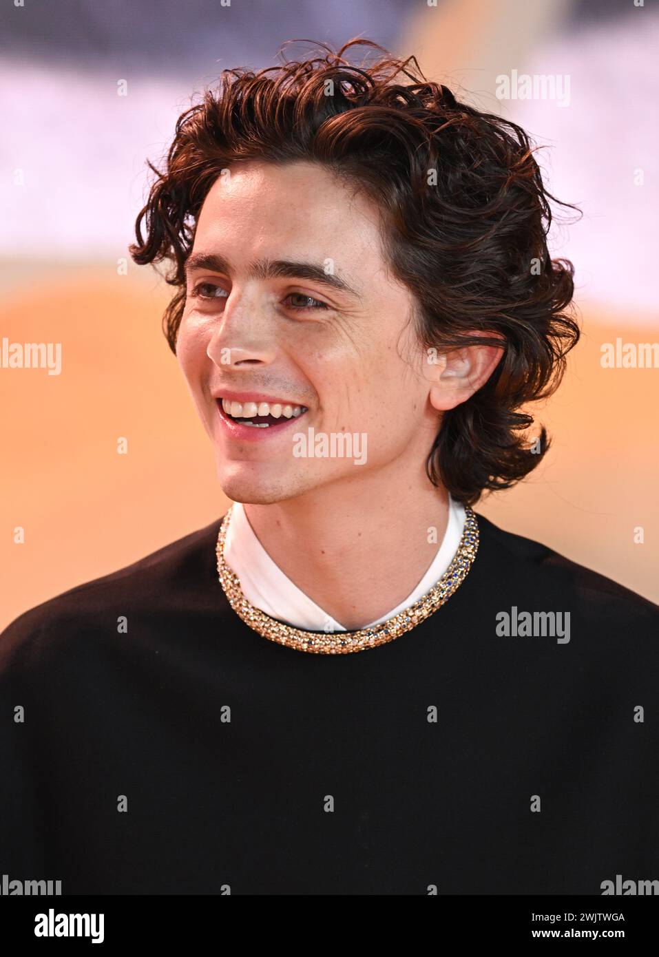 London, UK. February 15th, 2024. Timoth e Chalamet arriving at the World Premiere of Dune: Part ...