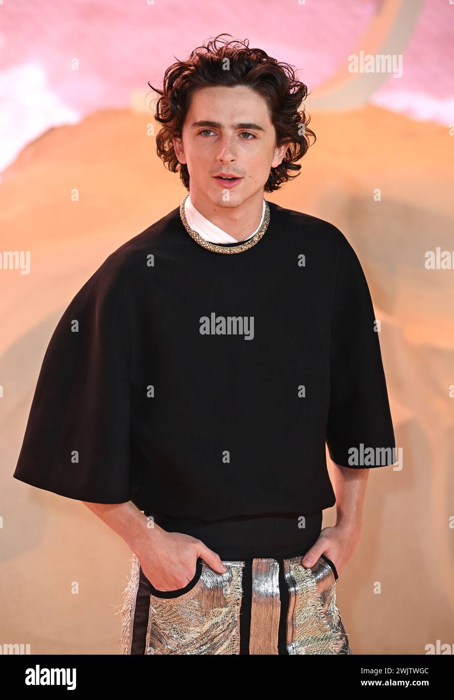 London, UK. February 15th, 2024. Timoth e Chalamet arriving at the World Premiere of Dune: Part ...
