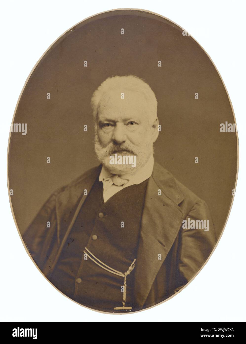 Victor Hugo (1802-1885). Photography by Etienne Carjat, 1873. Paris ...