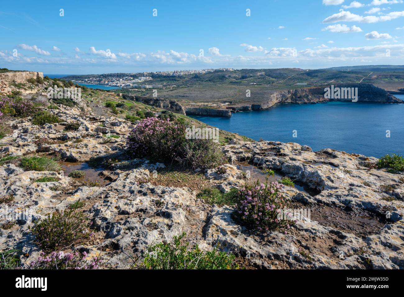 View from the limstone garrigue at Marfa Ridge towards Mellieha, Malta ...