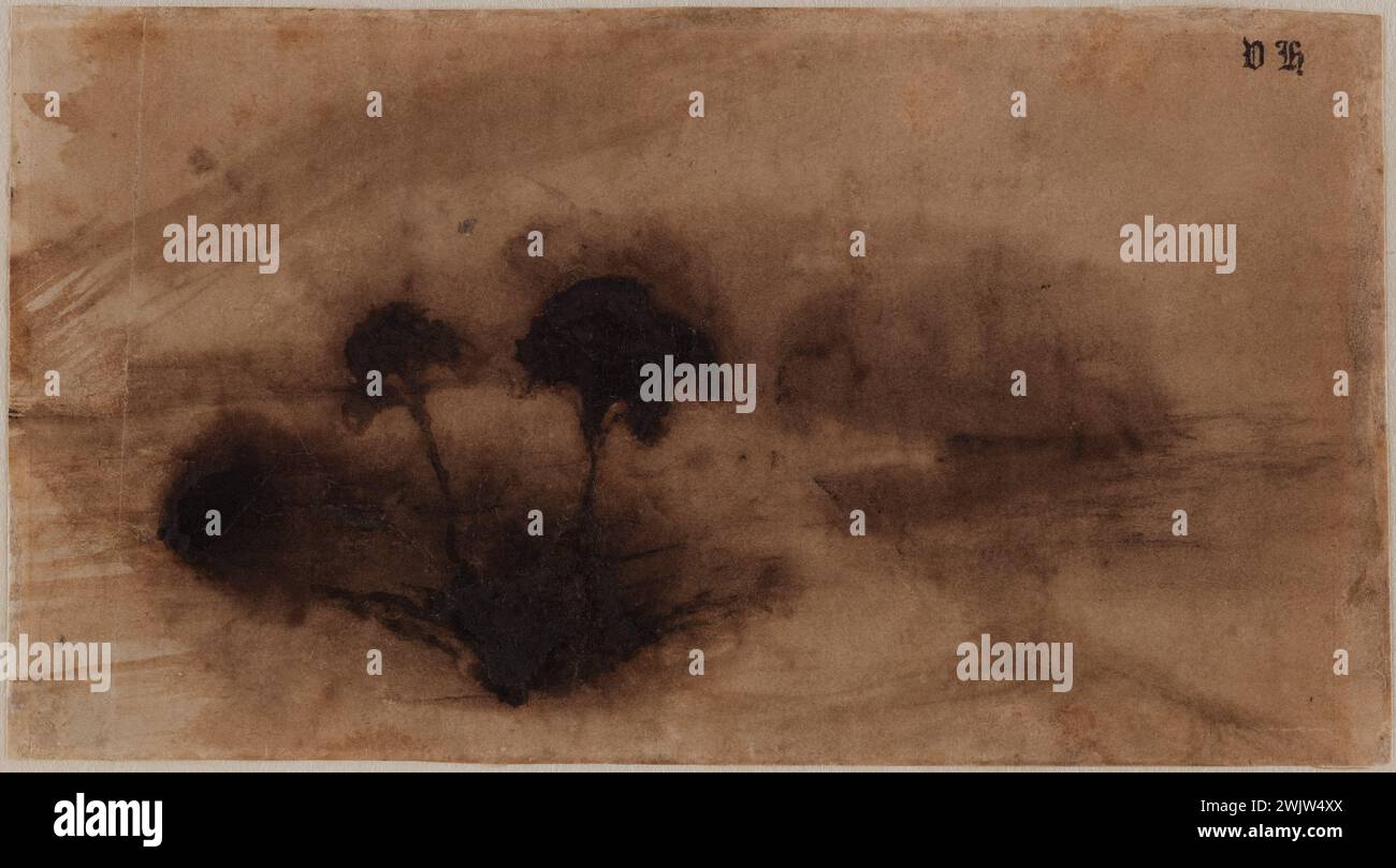 Victor Hugo (1802-1885). "Two trees in an island" .plume and brown ink ...