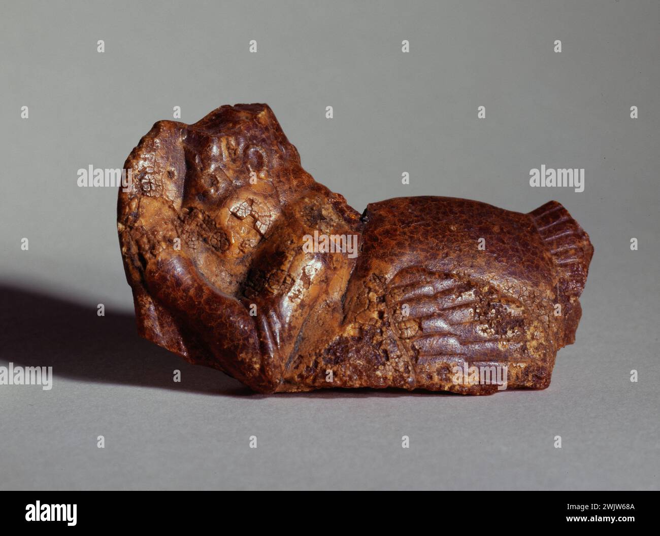 Siren in amber (view 1), ancient Rome, 6th century BC .. Museum of Fine ...