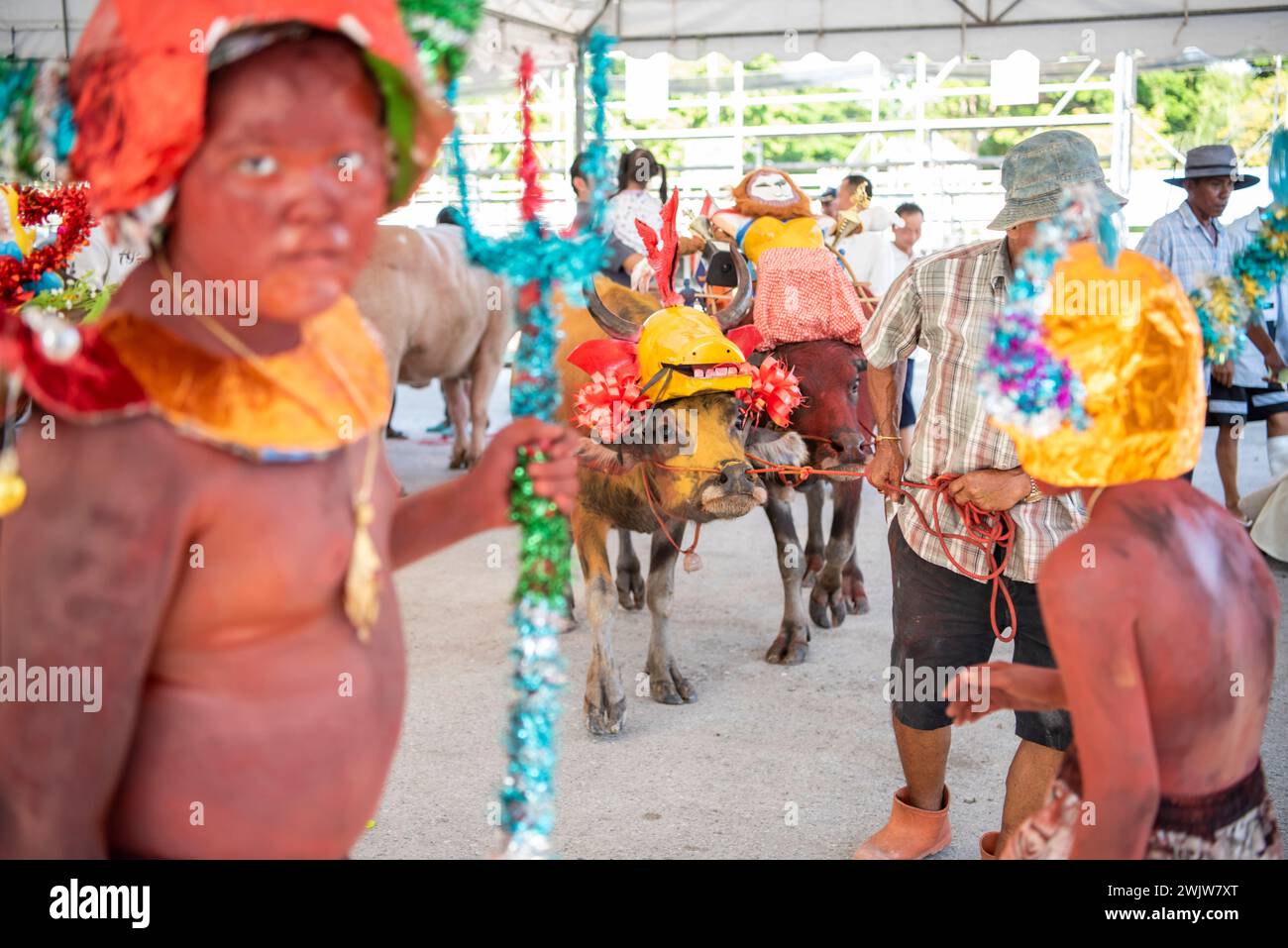 Peaple and Buffalo are ready for the Parade at Buffalo Race Festival or ...