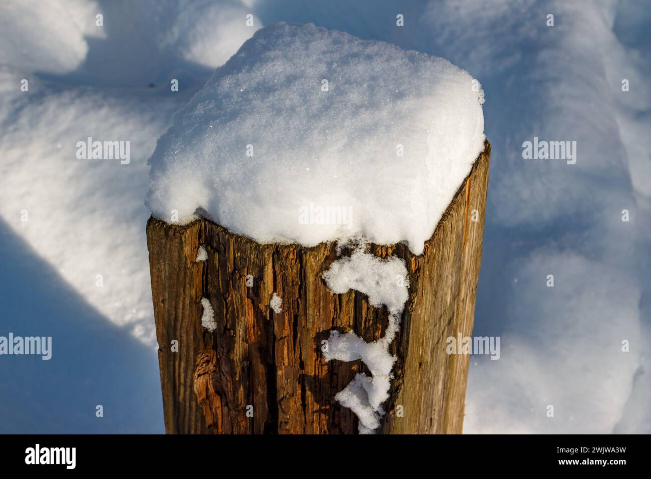 Rotten wooden pole covered with snow in winter Stock Photo - Alamy