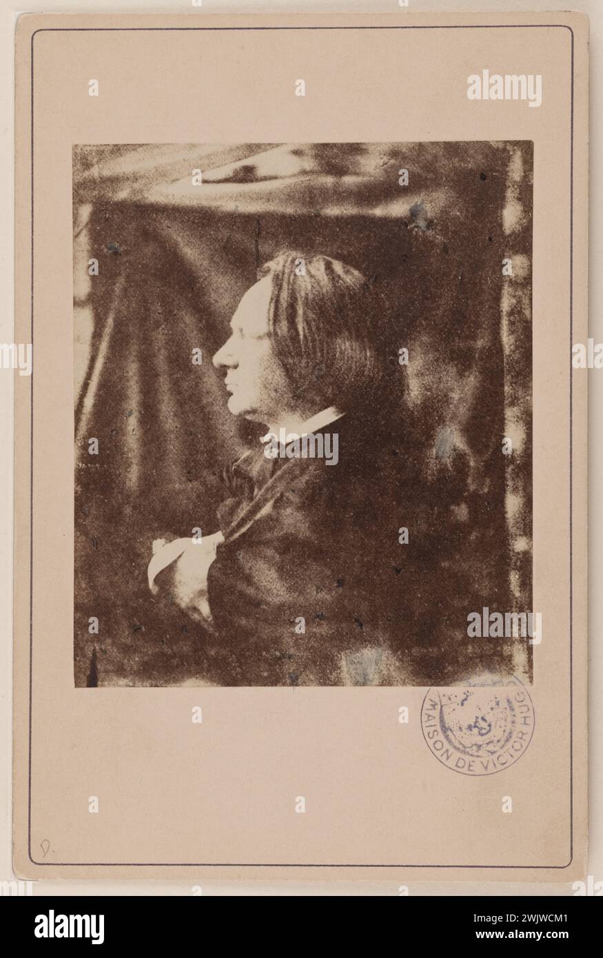 Victor Hugo left profile, hand slipped inside his jacket. Anonymous ...