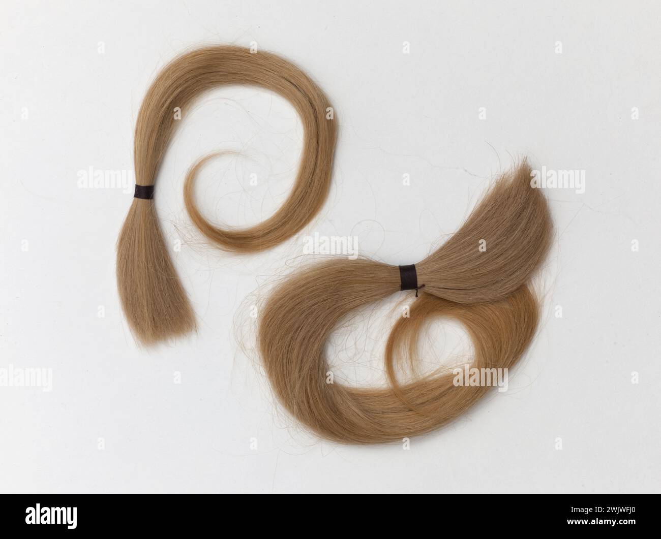 Anonymous. Set of memories of Daniel Manin. "Blonde hair wick". Hair ...