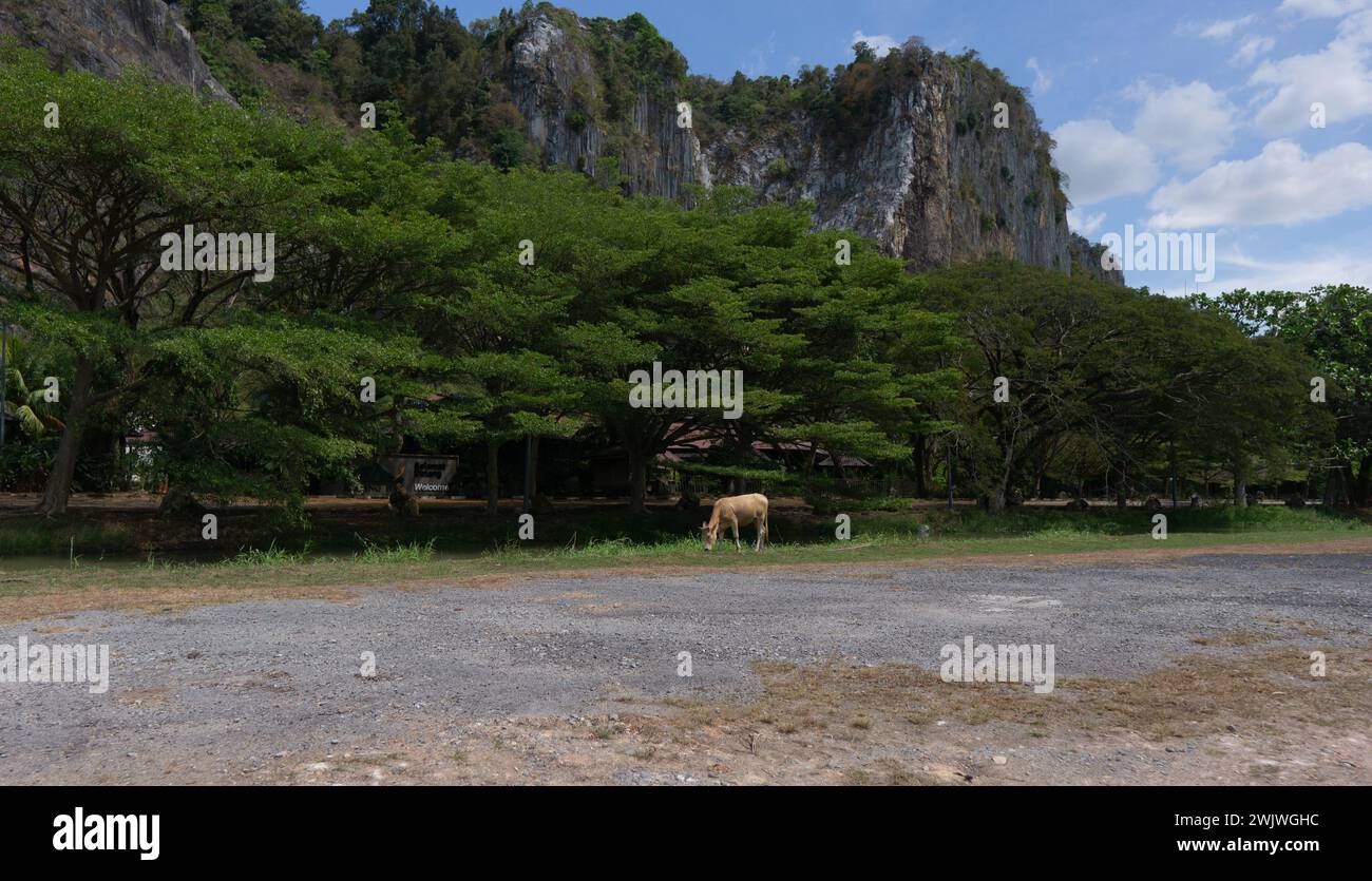 Gunung Keriang Kedah Stock Photo - Alamy