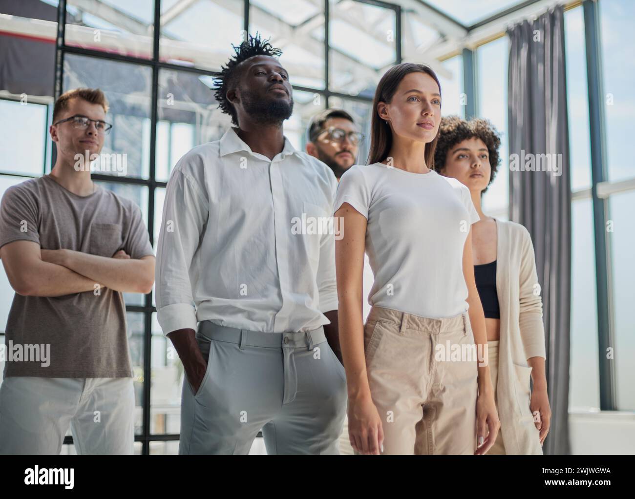 Smiling professional business leaders and employees group team portrait ...