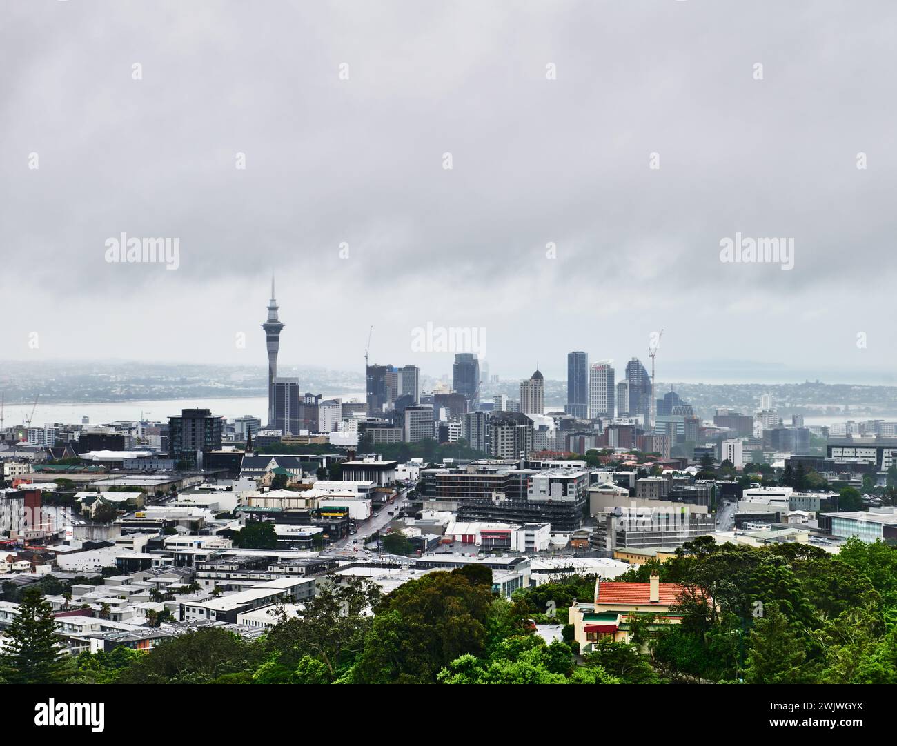 View of Auckland, North Island, New Zealand Stock Photo - Alamy
