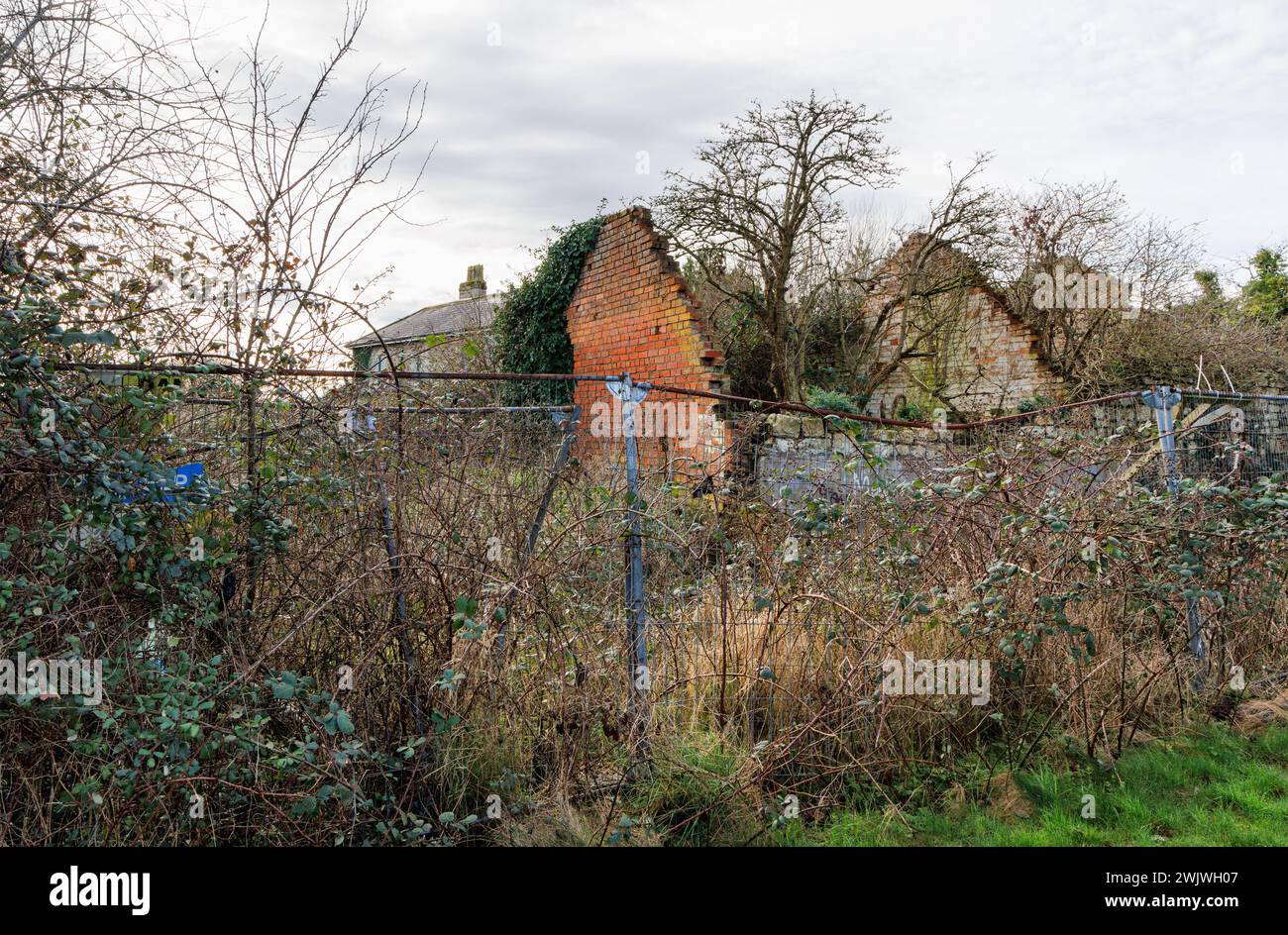 Derelict stone barns awaiting a Planning proposal for redevelopment of ...