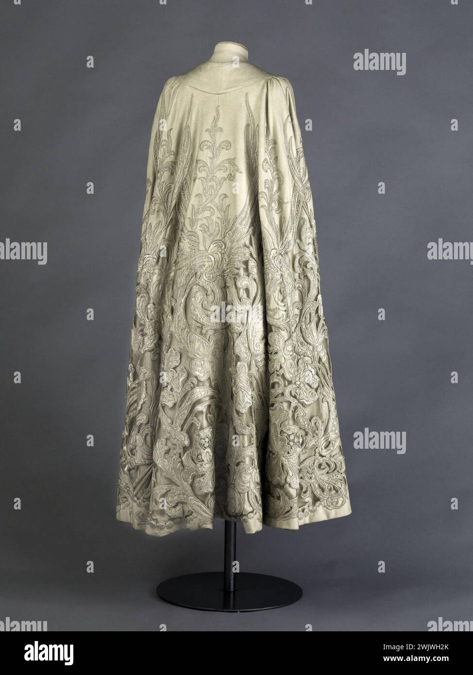 Plant de coton hi-res stock photography and images - Alamy