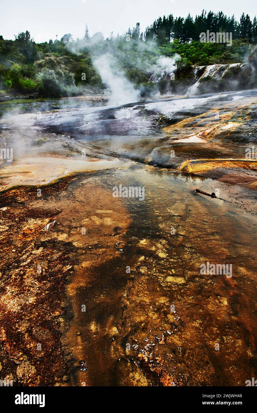 Landscape of Orakei Korako Geothermal Park, Taupo, North Island, New ...