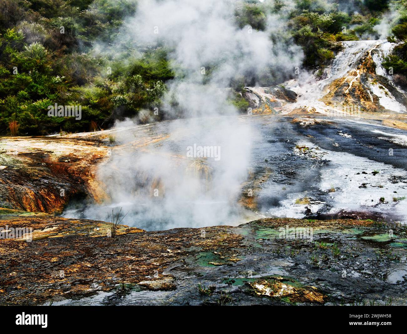 Landscape of Orakei Korako Geothermal Park, Taupo, North Island, New ...