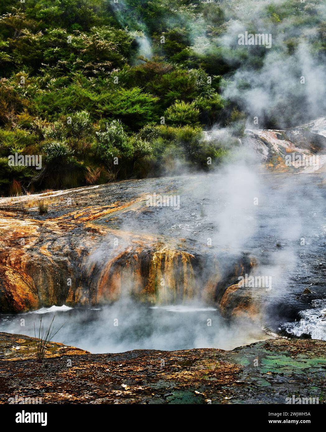 Landscape of Orakei Korako Geothermal Park, Taupo, North Island, New ...
