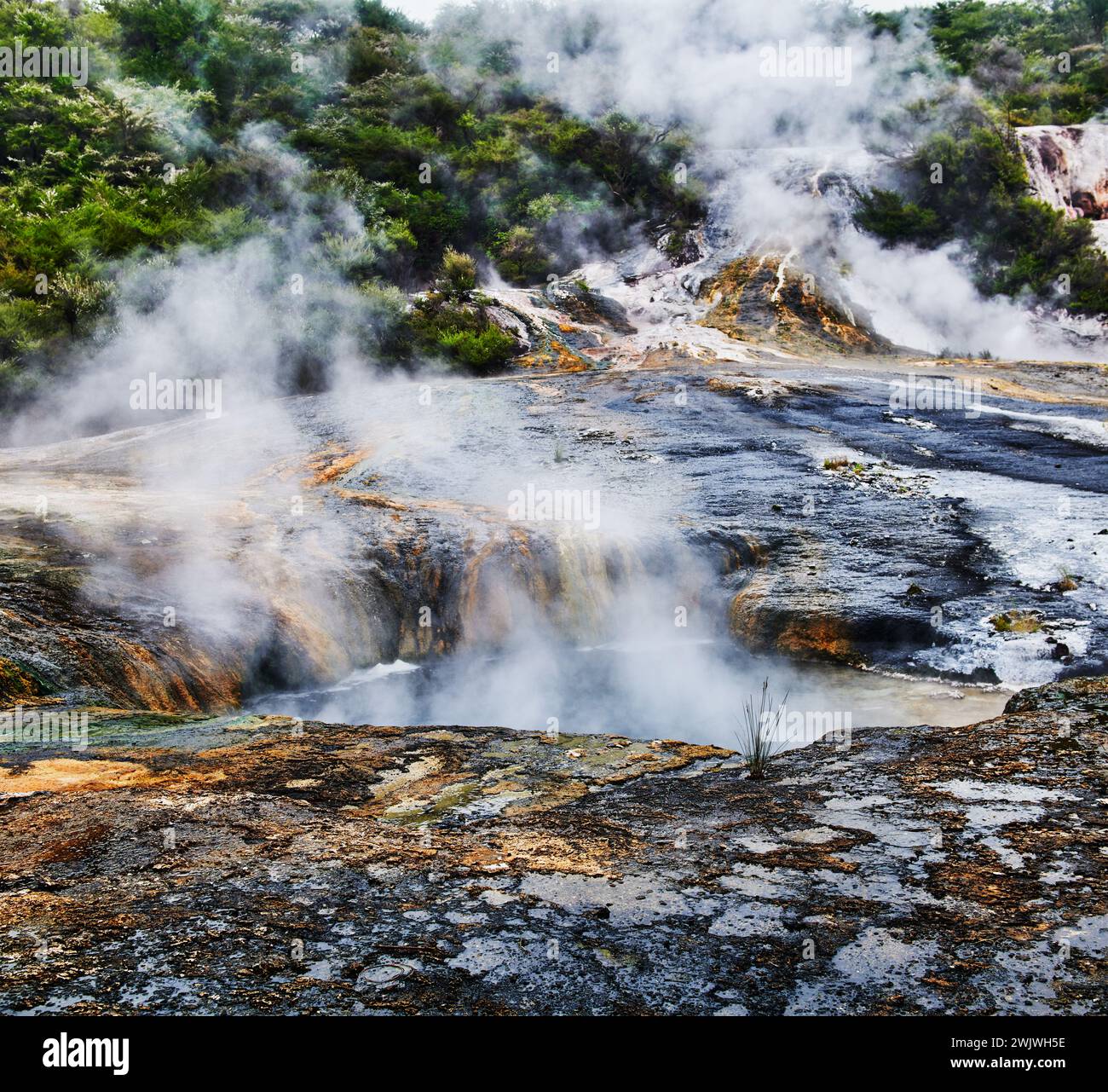 Landscape of Orakei Korako Geothermal Park, Taupo, North Island, New ...