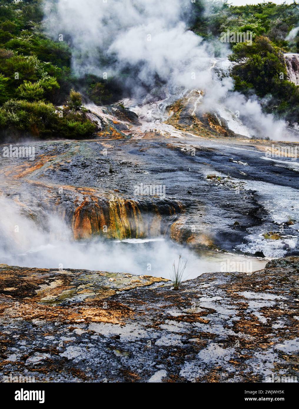 Landscape of Orakei Korako Geothermal Park, Taupo, North Island, New ...
