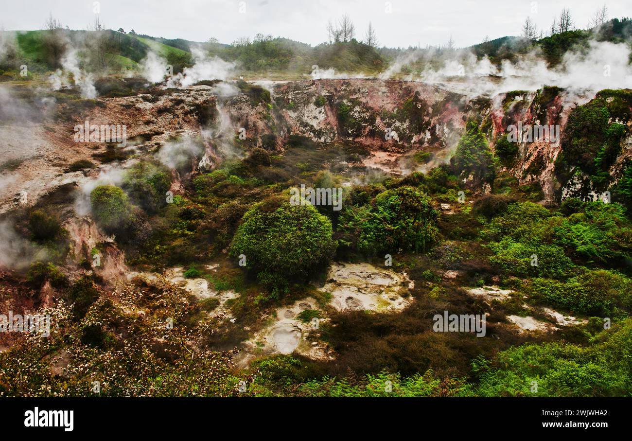 Landscape of Orakei Korako Geothermal Park, Taupo, North Island, New ...