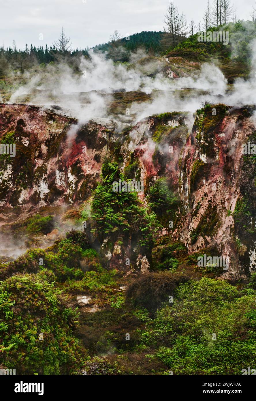 Landscape of Orakei Korako Geothermal Park, Taupo, North Island, New ...