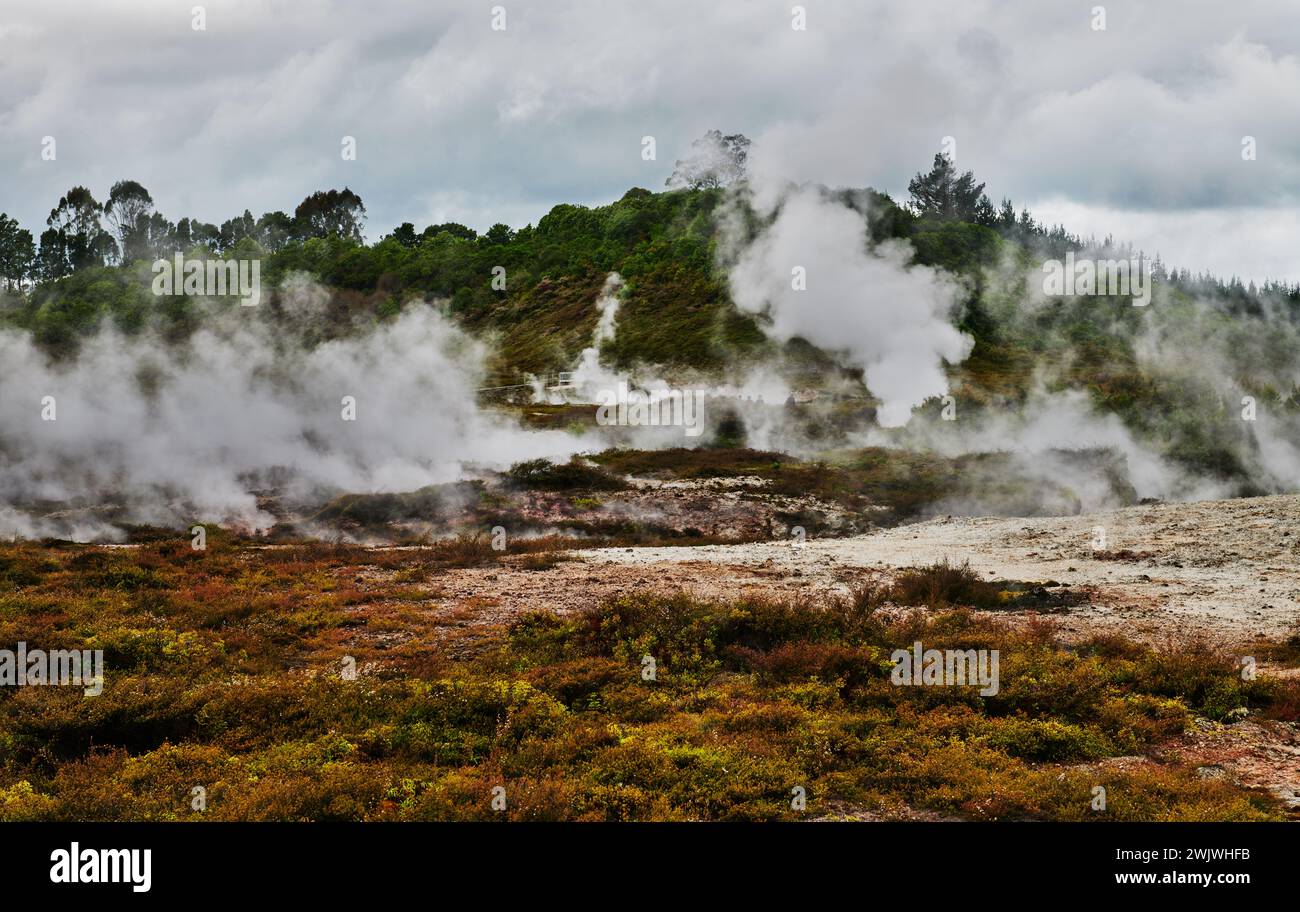 Landscape of Orakei Korako Geothermal Park, Taupo, North Island, New ...