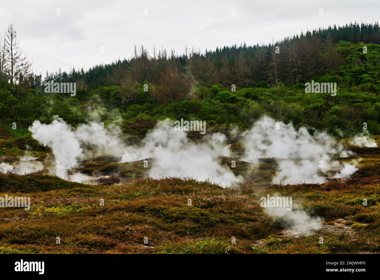 Landscape of Orakei Korako Geothermal Park, Taupo, North Island, New ...