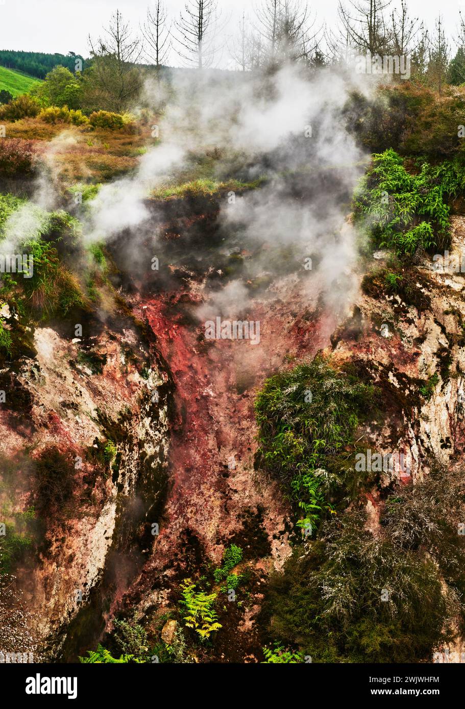 Landscape of Orakei Korako Geothermal Park, Taupo, North Island, New ...