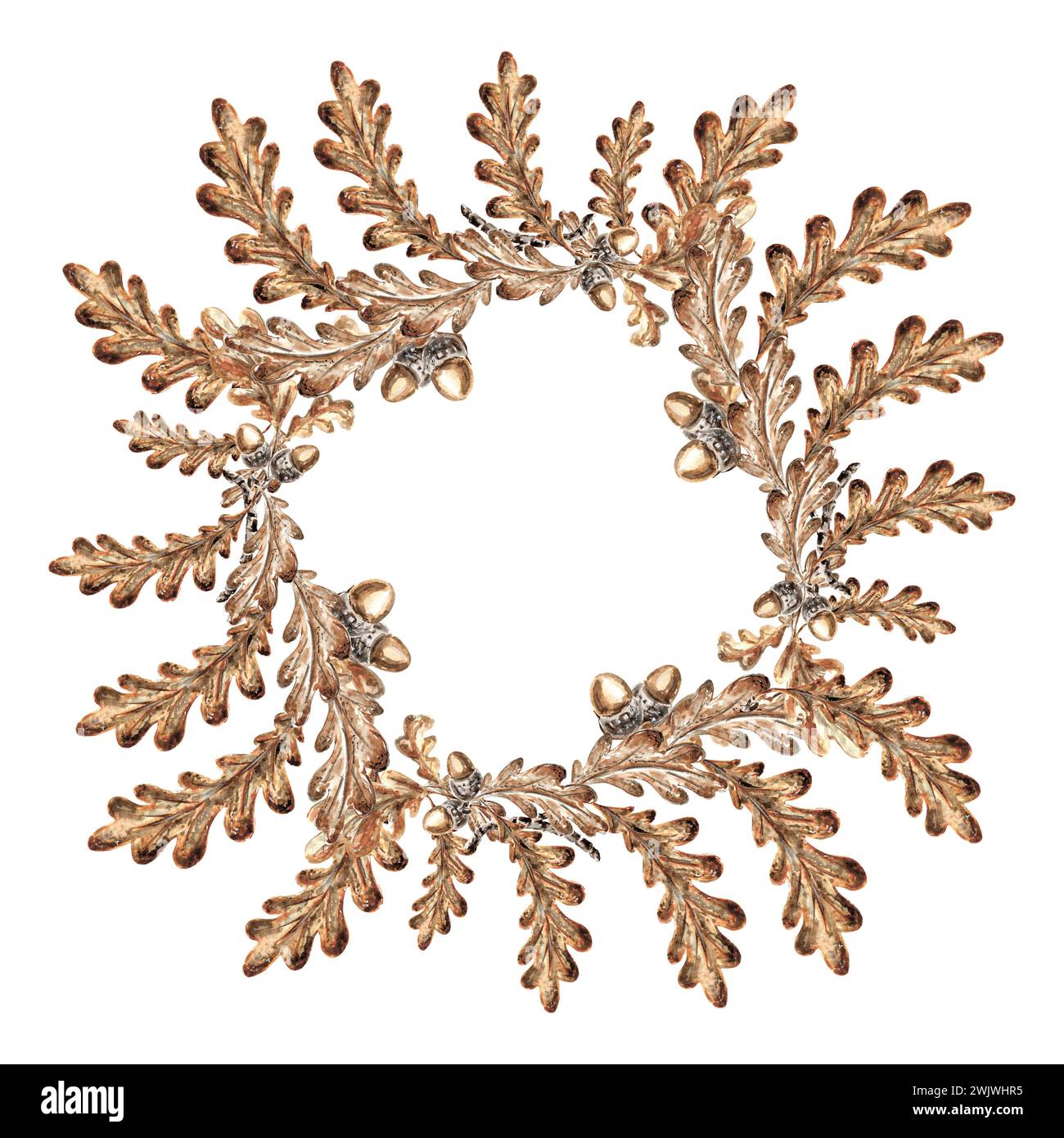Round frame wreath from oak branches with acorns and leaves. Hand drawn watercolor illustration ...