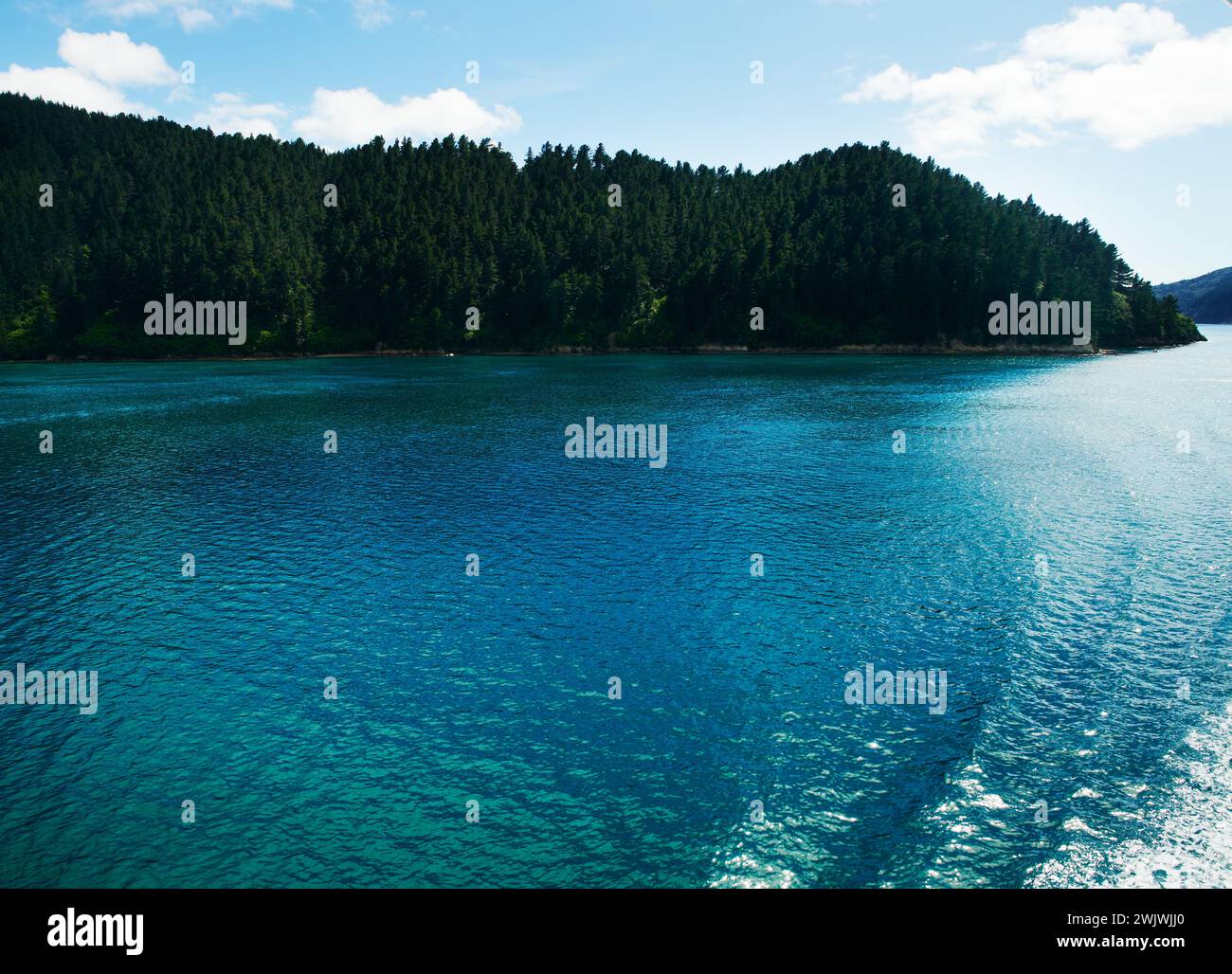 View of the Cook Strait, South Island, New Zealand Stock Photo - Alamy