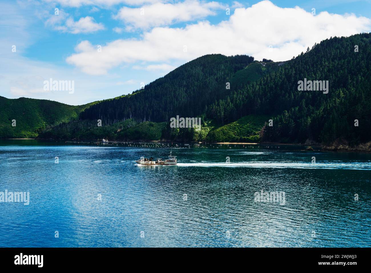 Strait cook hi-res stock photography and images - Alamy