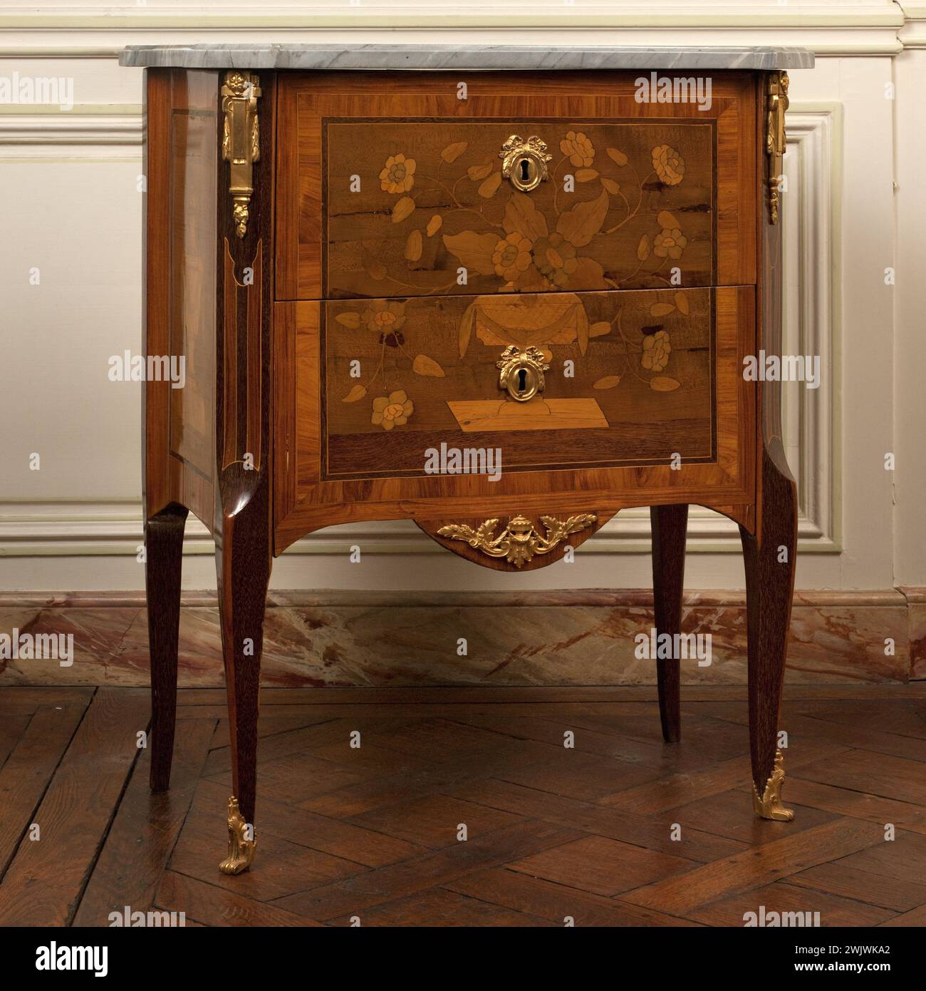 Conifere decorative hi-res stock photography and images - Alamy