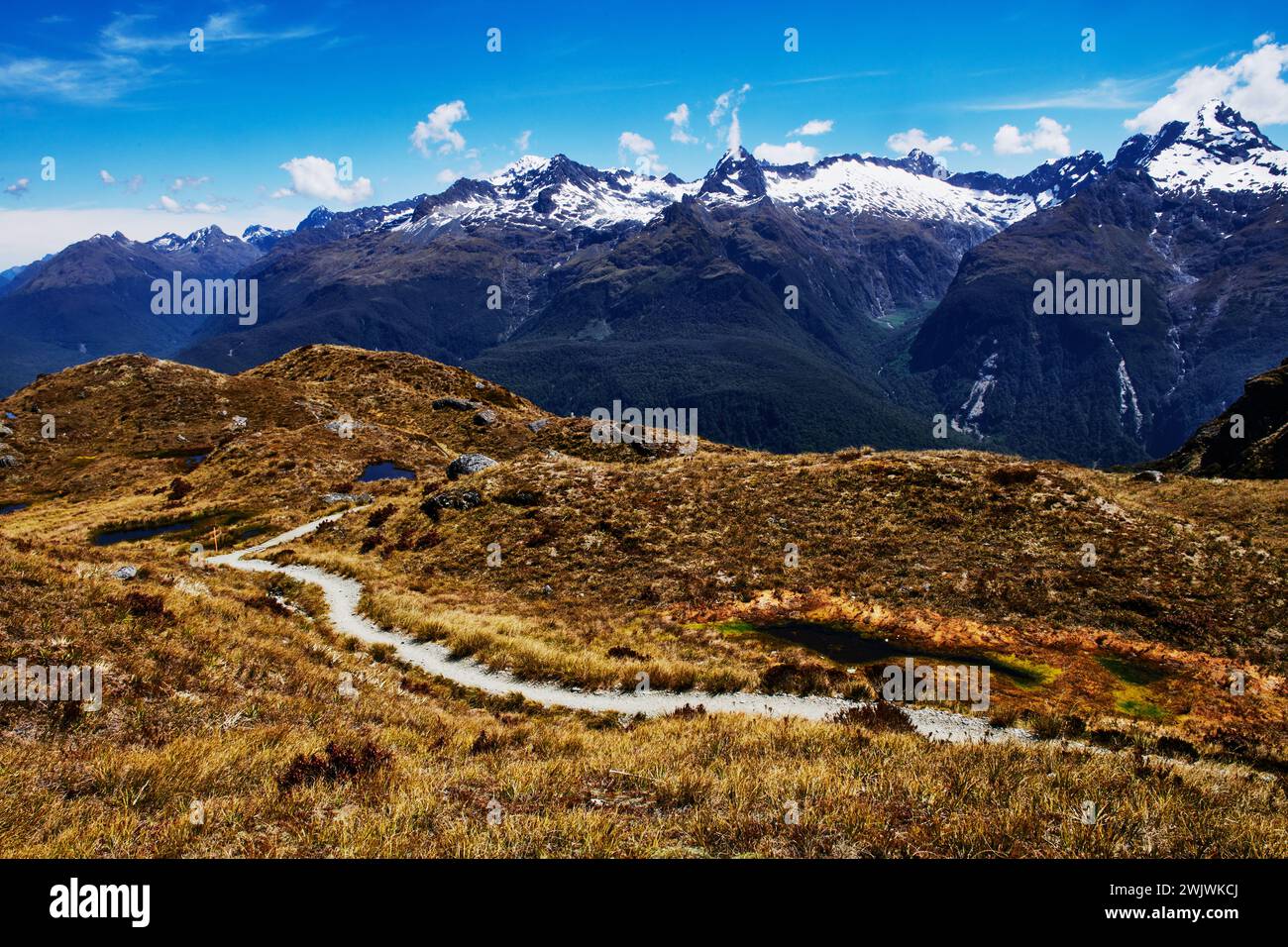 Routeburn track trail in Fjordland National Park, South Island, New ...