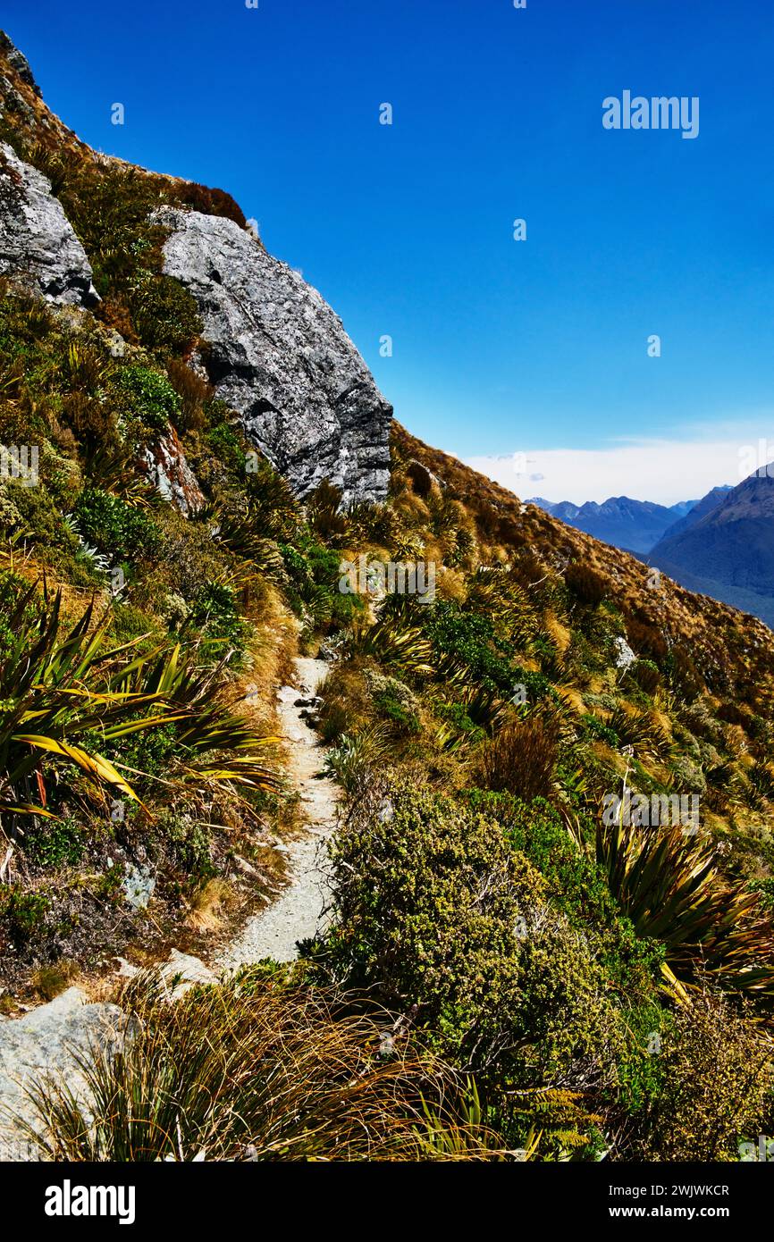 Routeburn track trail in Fjordland National Park, South Island, New ...