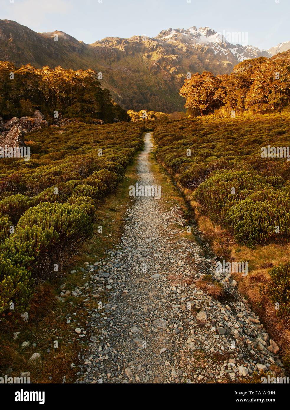 Routeburn Track trail near McKenzie Hut, Fjiordland National Park ...