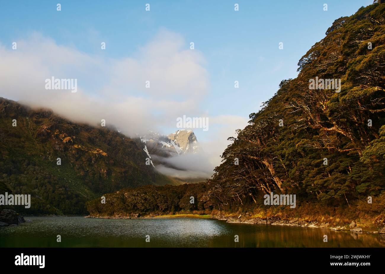 Landscape along Routeburn Track near McKenzie Hut, Fjiordland National ...