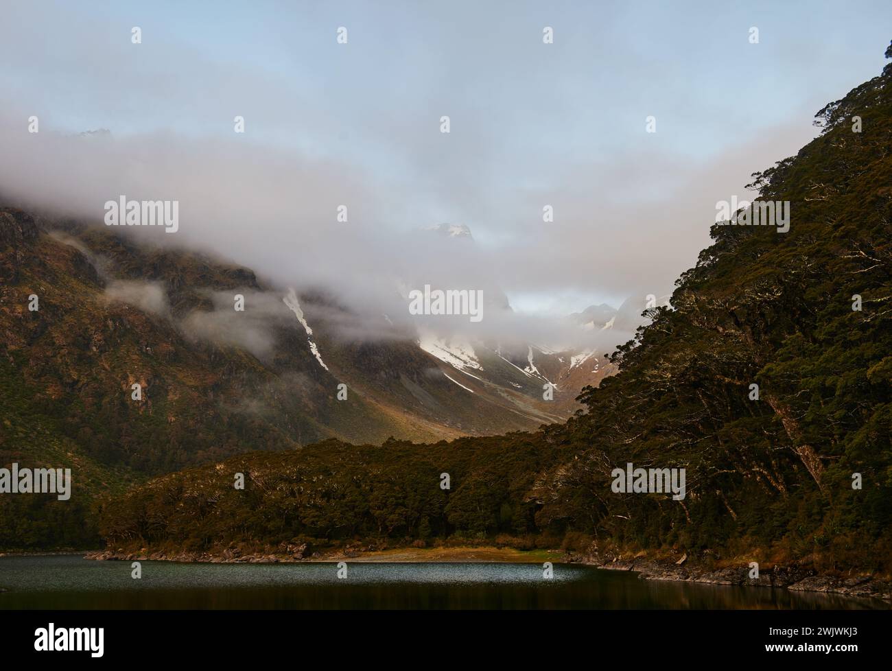 Landscape along Routeburn Track near McKenzie Hut, Fjiordland National ...