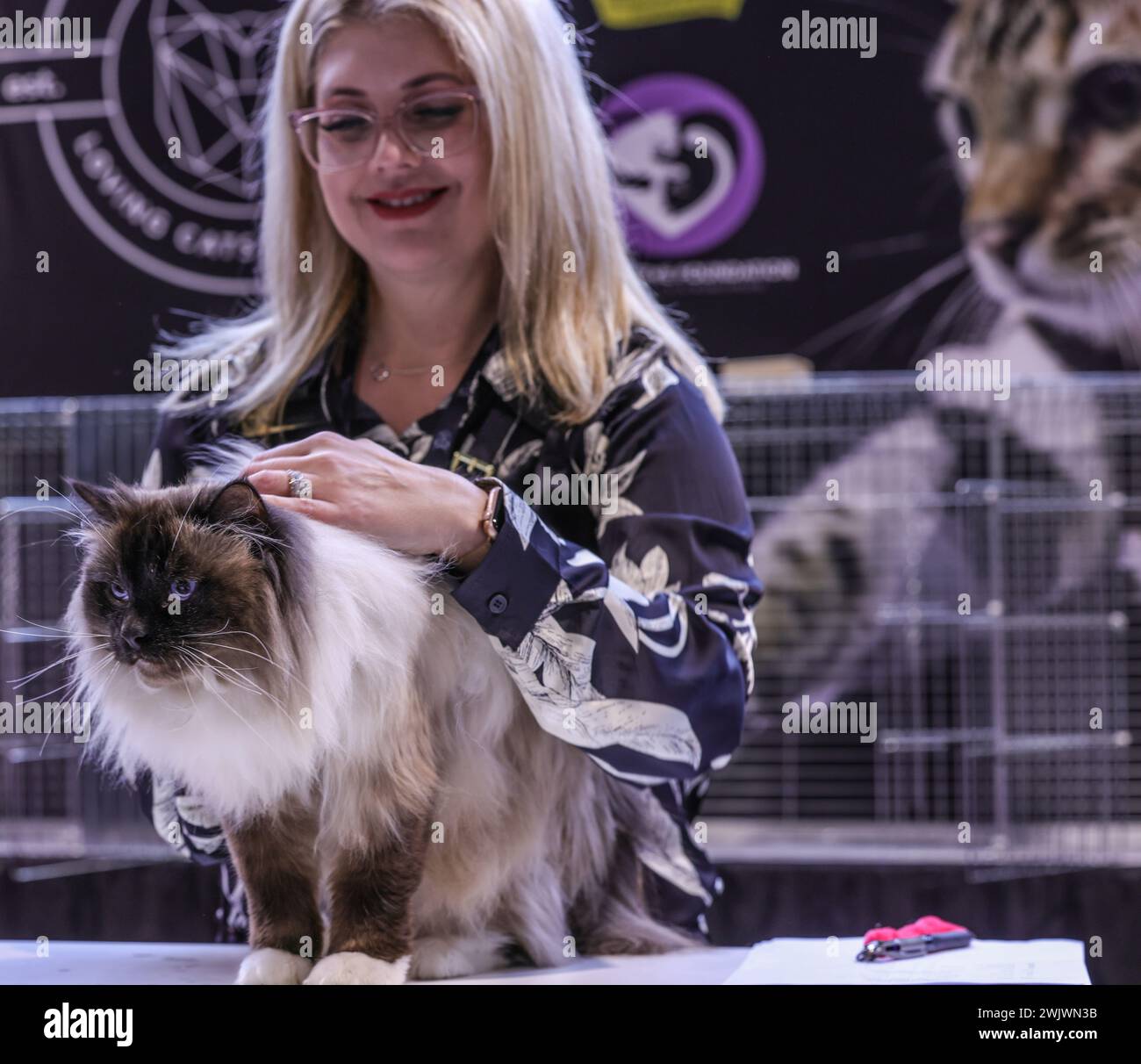 Olympia London 17 Feb 2024 A puurfect week end about nothing but Cats ...