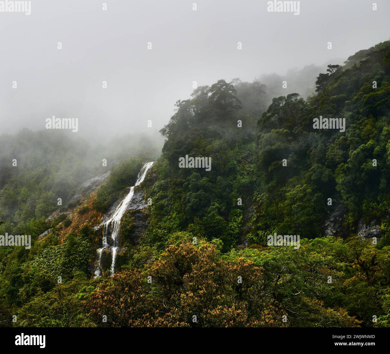 Landscape of Milford Sound / Piopiotahi, South Island, New Zealand ...