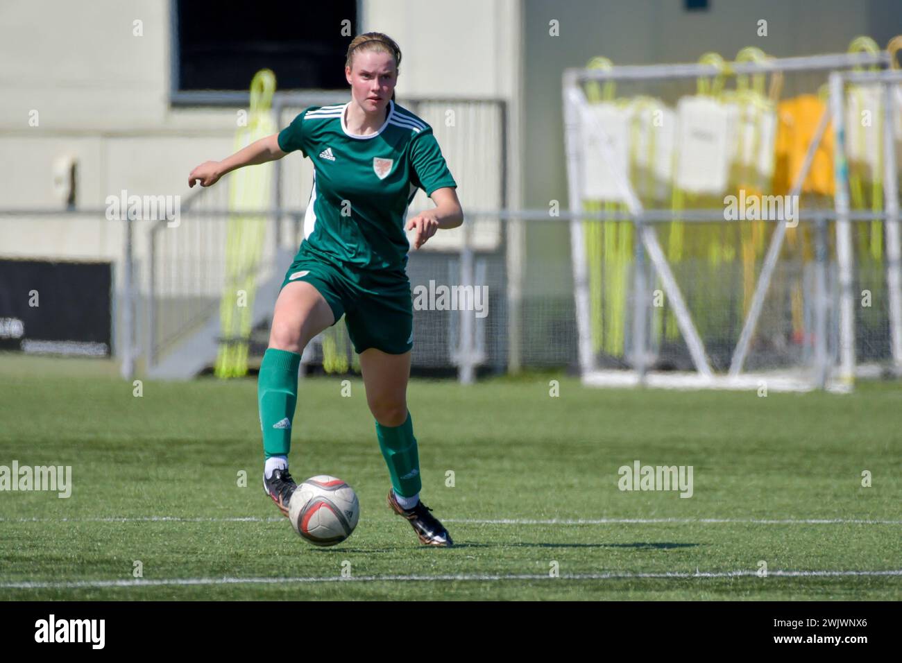 Newtown football team wales hi-res stock photography and images - Alamy