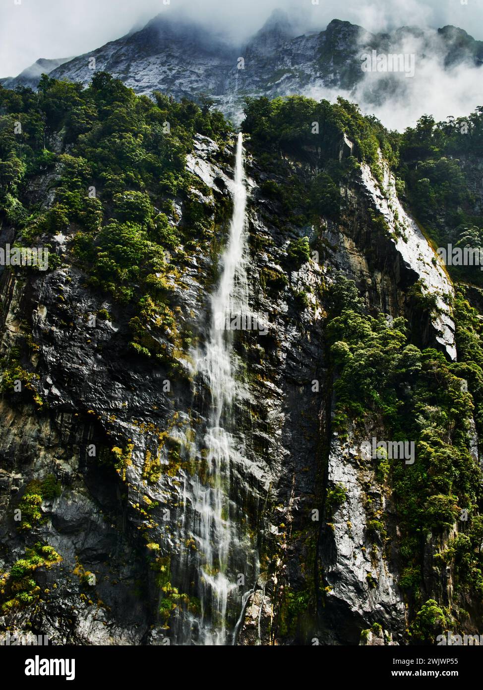 Landscape of Milford Sound / Piopiotahi, South Island, New Zealand ...