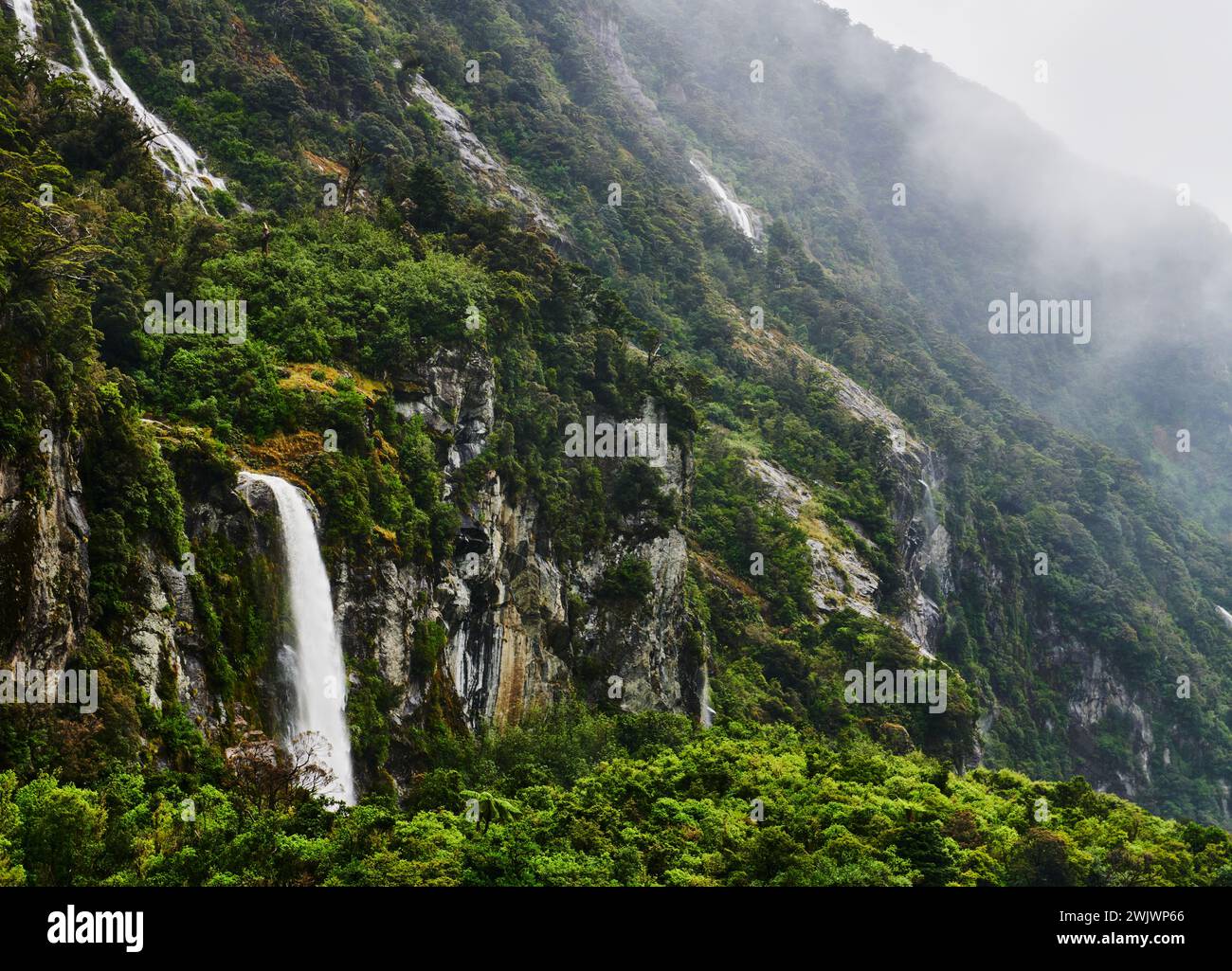 Landscape of Milford Sound / Piopiotahi, South Island, New Zealand ...