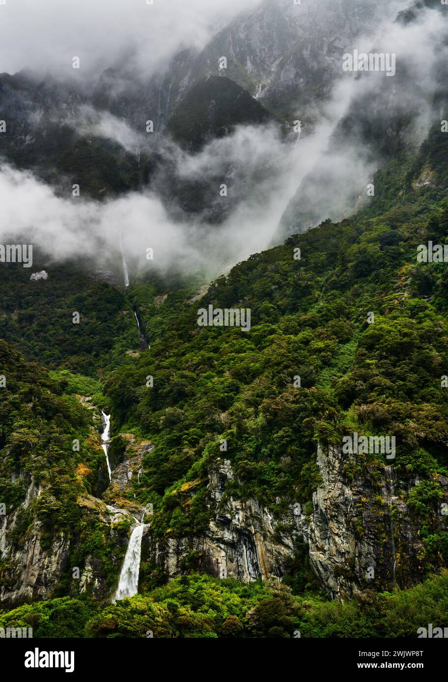 Landscape of Milford Sound / Piopiotahi, South Island, New Zealand ...