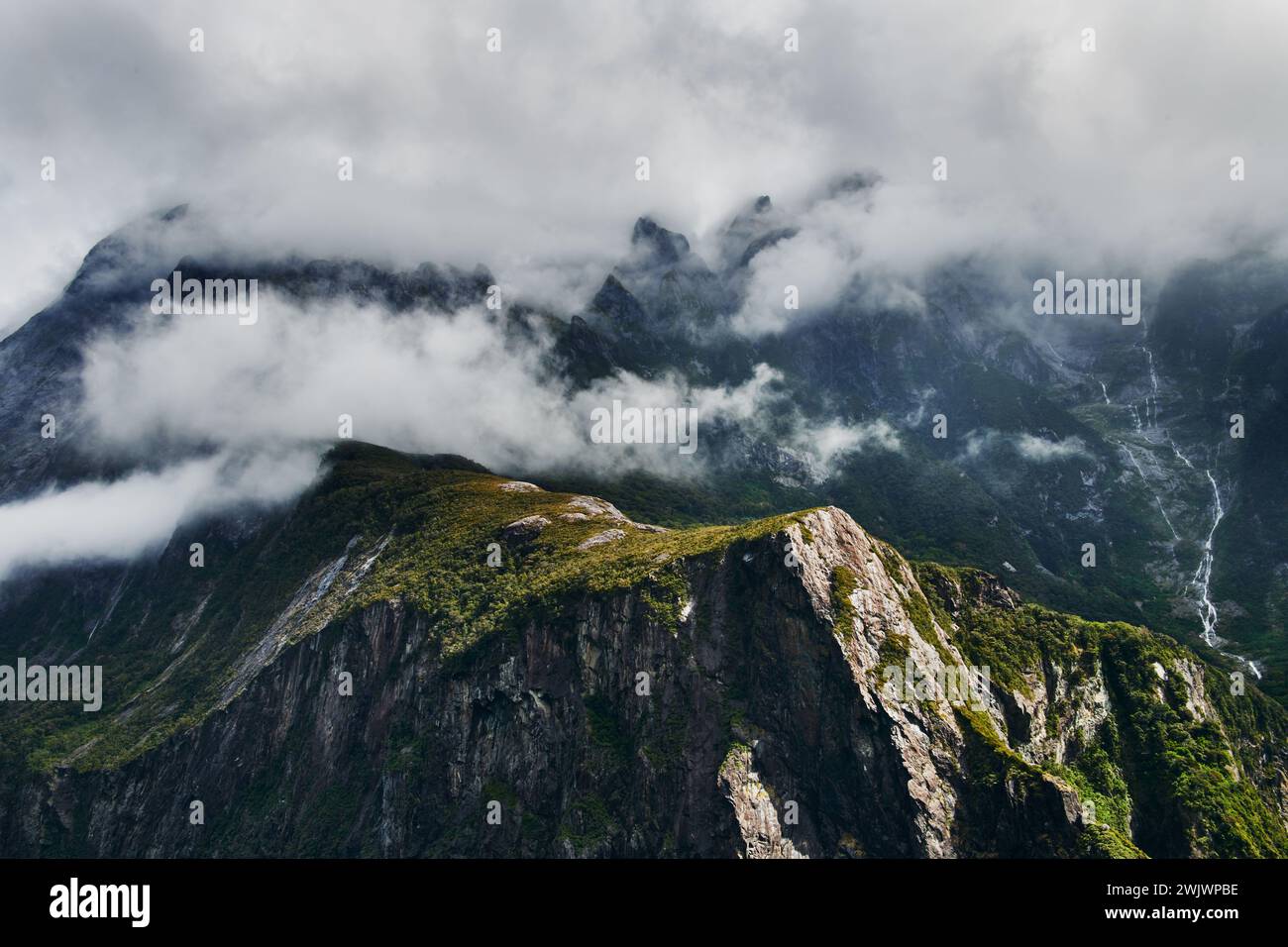 Landscape of Milford Sound / Piopiotahi, South Island, New Zealand ...