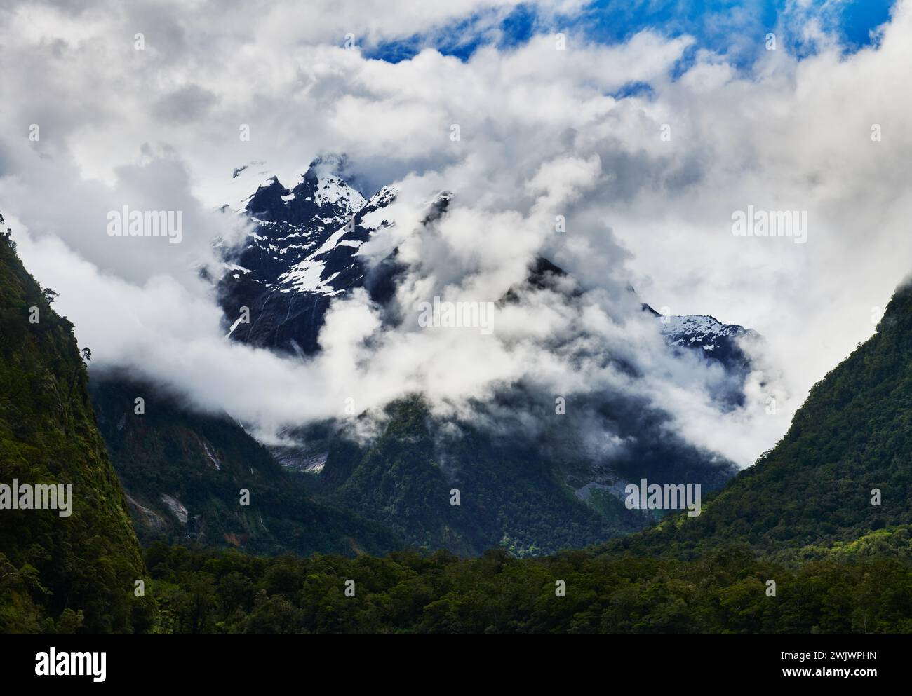 Landscape of Milford Sound / Piopiotahi, South Island, New Zealand ...