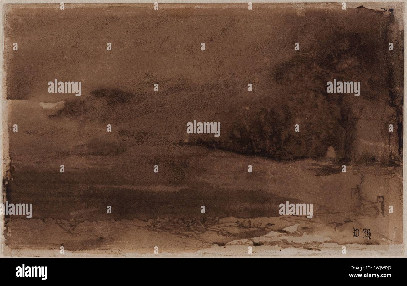 Victor Hugo (1802-1885). "Two trees and a bush". Plume and brown ink ...