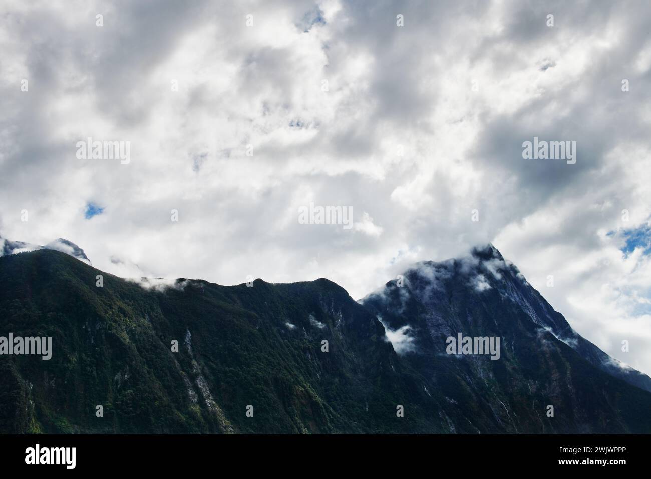 Landscape of Milford Sound / Piopiotahi, South Island, New Zealand ...